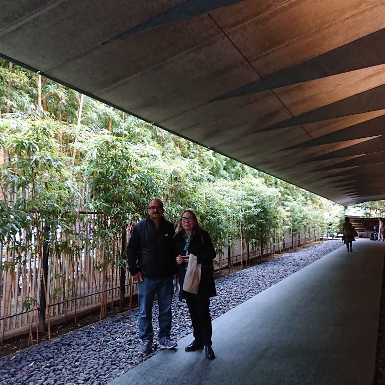 Visiting Art Museums Language Tourism Japan