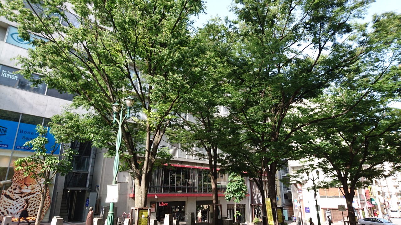 Roppongi , Azabu and Shiroganedai | Language Tourism Japan