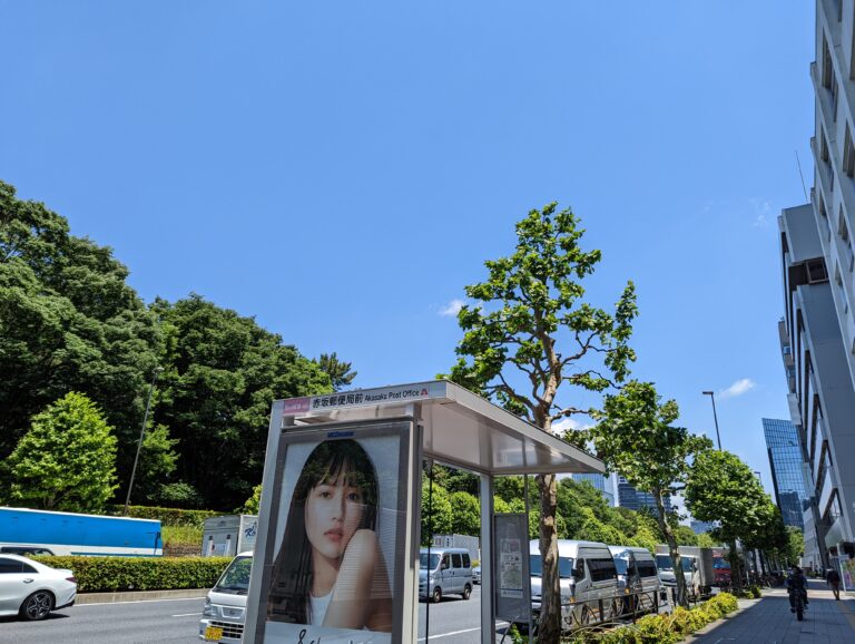 Aoyama and Akasaka | Language Tourism Japan